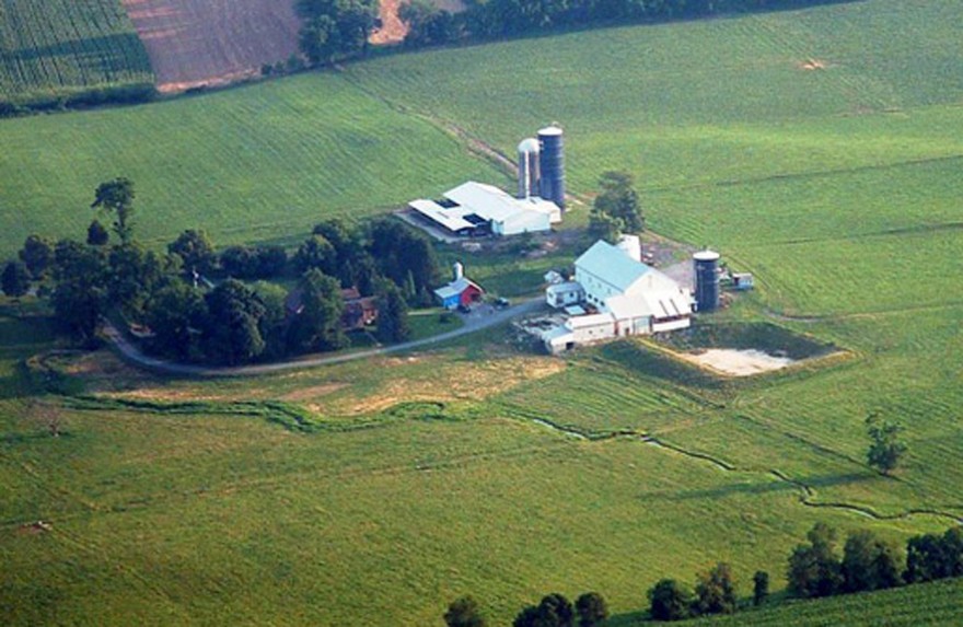 The Farm – Bendy Brook Farm